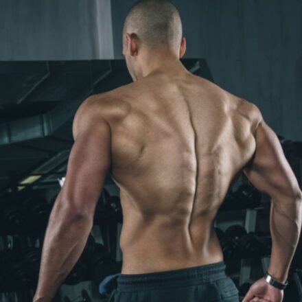 Full Body Workout of the Golden Era Bodybuilding Legends