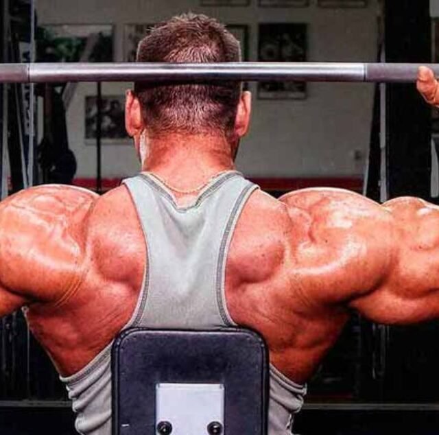 Full Body Workout of the Golden Era Bodybuilding Legends