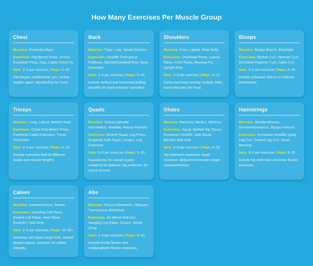 How Many Exercises per Muscle Group Should You Do? A Quick Guide - SPCFiTZ