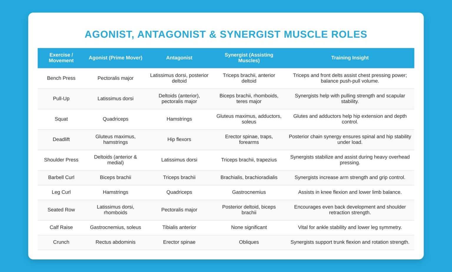 Understanding the Roles of Agonists, Antagonists, and Synergists - SPCFiTZ