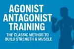 Agonist Antagonist Training – Arnold’s Classic Method to Build Strength ...
